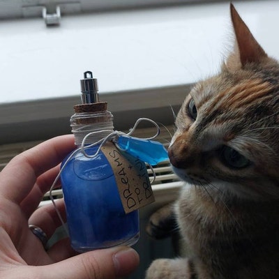 MAGIC POTION WITH LED Light / Cosmic Stardust Potion / With Cloud ...