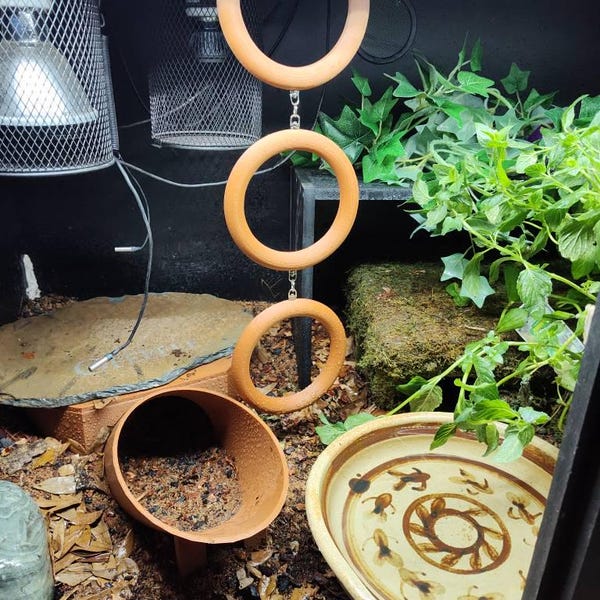 Snake Enrichment Climbing Rings - Ball Python, Corn Snake, Rat Snake ...