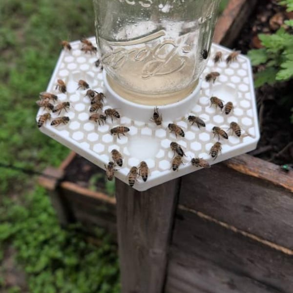 Pollinator Watering Station Customize Depth Small Mouth Mason Jar | Bee ...
