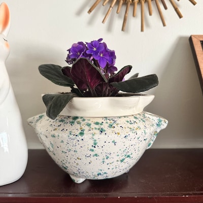 African Violet Pot for Leaf Propagating, Itty Bitty Pot, Indoor Planter ...