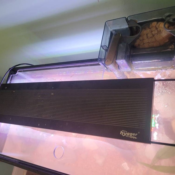 10 Gallon Aquarium Lid Reversible for Hang on Back Filters Clear ...