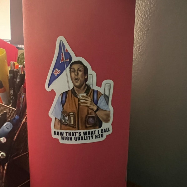 Bobby Boucher H2o Waterboy Vinyl Sticker or Magnet (matte Finish) - Etsy