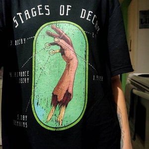 5 Stages of Decay Hand Human Decomposition Forensic - Etsy