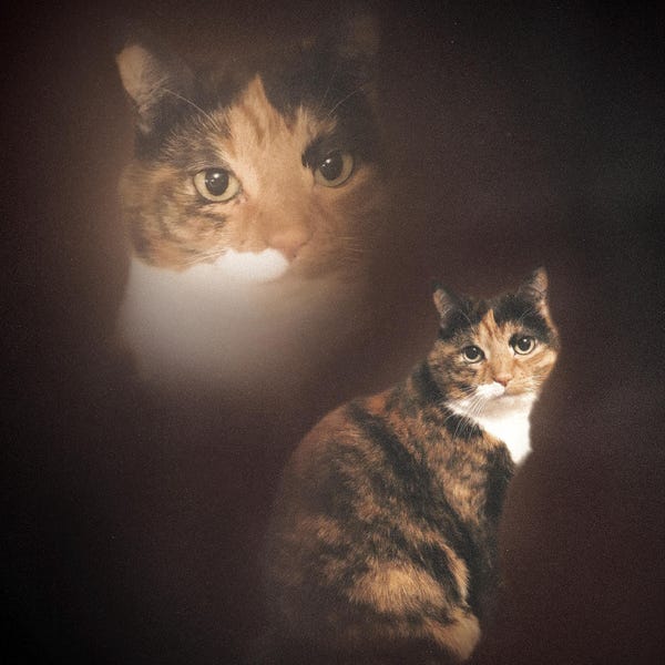 Custom 80's Retro Pet Portrait - Single Pet Oval Frame - Handcrafted ...