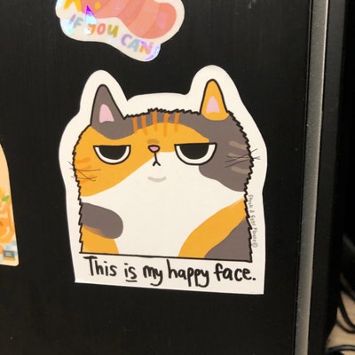 Grumpy Cat Stickers - Etsy
