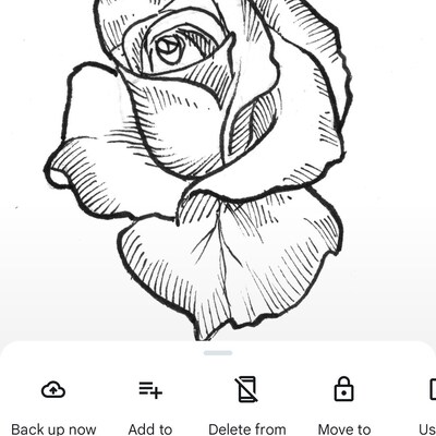 Hand Drawn Roses Clipart, Flowers Doodle Clipart, 10 Png Files, INSTANT ...