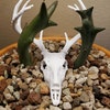 3D Printed Mini Deer Skull - Etsy