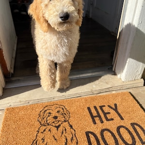 1426 Hey Dood Golden Doodle Dog Goldendoodle Doormat Labradoodle ...
