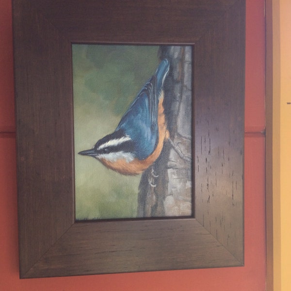 Red Breasted Nuthatch - Nuthatch - Bird Painting - Nuthatch Painting ...