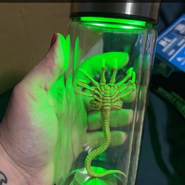 1:6 Scale Alien Egg Facehugger Embryo Xenomorph Egg 1/6 Scale Display ...