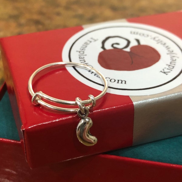 Kidney Transplant Gift: Exclusive Sterling Kidney Shaped Charm, SMALL ...