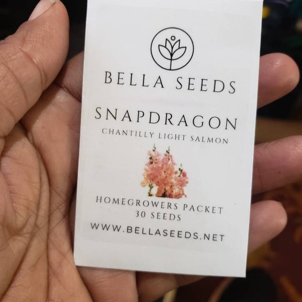 Snapdragon Chantilly Light Salmon Seeds, Rare Seeds, Cut Flower Seeds ...