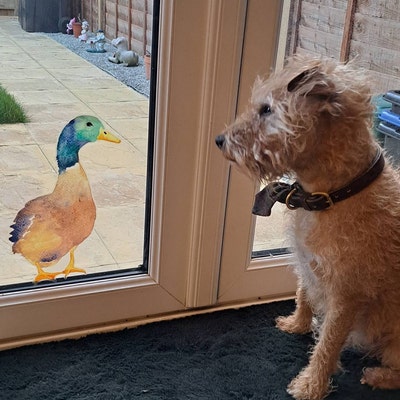 Duck Window Stickers, Duck Window Decal, Spring Duck Window Sticker ...