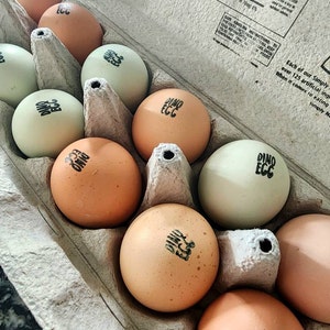Egg Carton Price Label Price Tag Fresh Eggs Egg Carton - Etsy