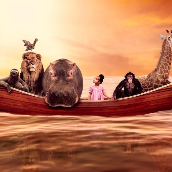 Noahs Ark Backdrop Digital Background for Photographers / Fantasy ...