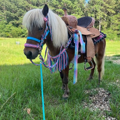 Side Pull Hackamore Pink , Mini to Draft, Pony Hackamore, Bitless ...