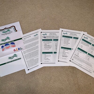 Girl Scout Theme Mock Election Ballot INSTANT DIGITAL DOWNLOAD - Etsy