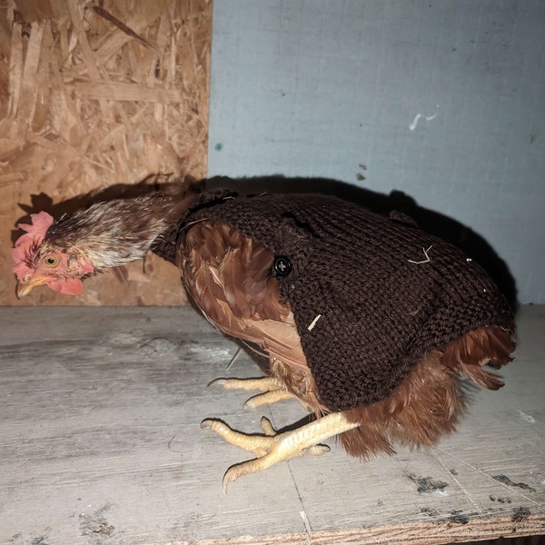 Knit Chicken Sweaters (medium Weight) - Hen Clothing - Poultry ...