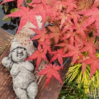 Garden Cast Stone Tiger Tank - Etsy UK