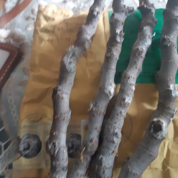 X2 Lays Potato Chips Tzatziki Flavored Snacks - Etsy