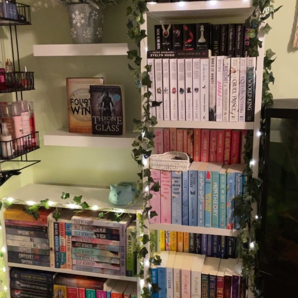 Shelf Riser for Displaying Two Rows of Books on a Single Shelf ...