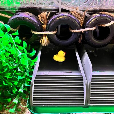 Sliding Coin Bank 3D Printed Coin Bank With Slide - Etsy