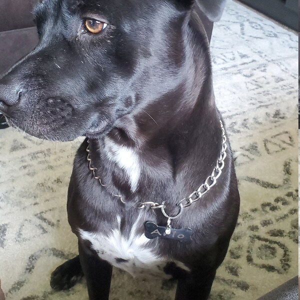 Personalized Pet Necklace, Jewelry for Cats, Chains for Pets, Cat Head Shaped Pet Chain, Chain ...