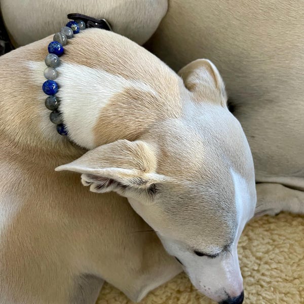 Lithotherapy and Anti-ticks Collar for Dog, Anti-anxiety and ...