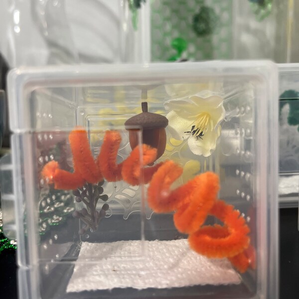 3D Printed Magnetic Acorn Spider Hide- Upgraded Sling Acorn Magnets! - Etsy