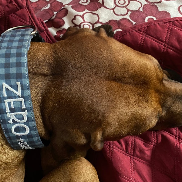 Fall Collar, Embroidered Dog Collar, Personalized Dog Collar, Geometric ...