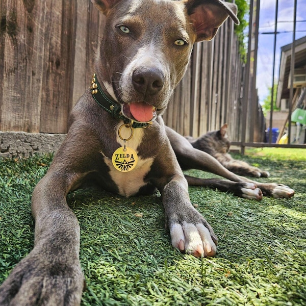 Zelda Game Dog Tag: Custom Engraved Brass Pet ID Tag - Etsy