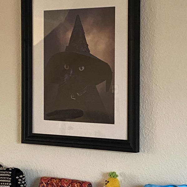 Custom Witch Pet Portrait From Photo Perfect Gothic Gift Dark Pet Gift ...