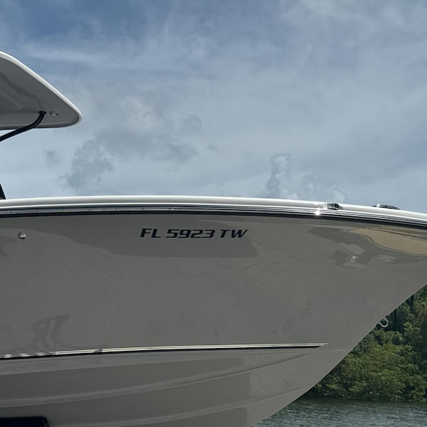 Wake Series Domed Boat Lettering White Center / Chrome Outline Raised ...
