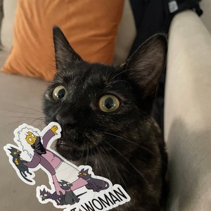 JUNIOR Animal Control Badges - Etsy