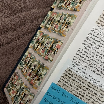 Chronological One Year Bible Reading Plan Vinyl Checklist Sticker for ...