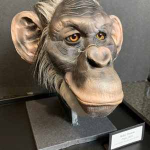 Halloween Horror Prop EYEBALL POPPERS for Skulls Skeletons or - Etsy