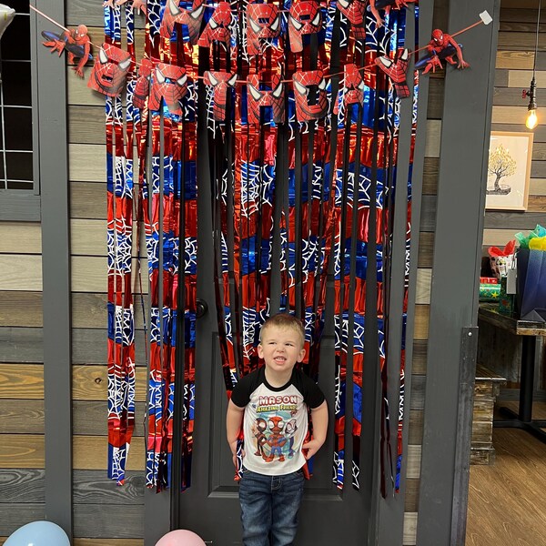 Dollhouse Inspired Birthday T Shirt, Gabbis Theme Party Shirt ...