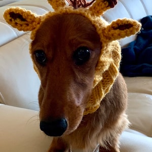 Monkey Dog Snood Knit Crochet Dog Hat Easter Dog Costume - Etsy