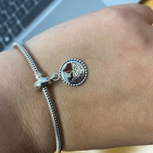 Pandora Carnaval Dangle Charm 925 Jewelry Women Jewelry Charms for ...
