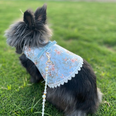 Easter Bunny Garden Bunny Pet Bunny Dress/harness Rabbit - Etsy