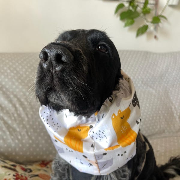 Waterproof Dog Snood | Cocker Spaniel Snood | Basset Hound Snood ...