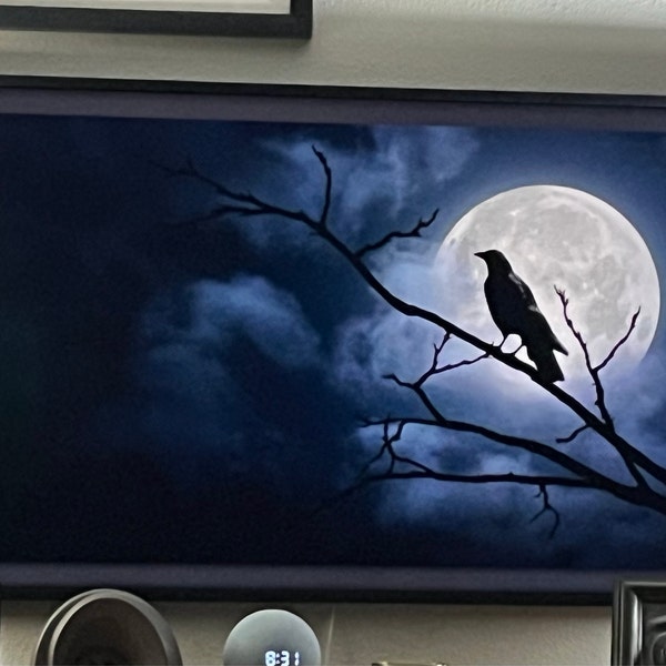 Black and White Photo of Majestic Tree for Samsung Frame TV, Frame TV ...