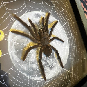 Heart Tattoos Heart Tattoo Flash Sheet Print Gemstone Tattoos ...