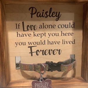 Rainbow Bridge Pet Memorial Sign Pet Memorial Pet Loss - Etsy