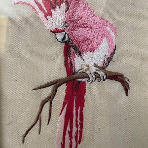 Australian Pink Cockatoo Bird Machine Embroidery File Design 5x7 Hoop ...