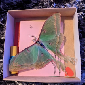 Silk Luna Moth Hair Clips With 3d Double-layer Wings Hair - Etsy
