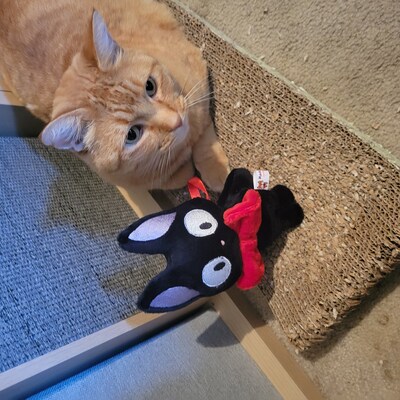 Sakura Moth Plush - Etsy