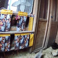 Chicken Nest Box Curtains - Etsy