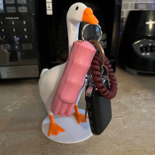 Untitled Goose Co-op/bump on Beak Key Holder Magnetic_key Organizer ...