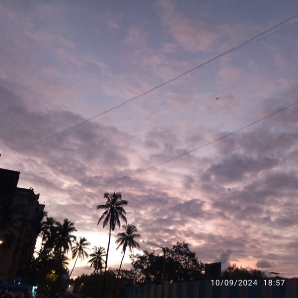 AURELIA Leaf Bangle in Gold & Silver High Quality Stainless Steel ...